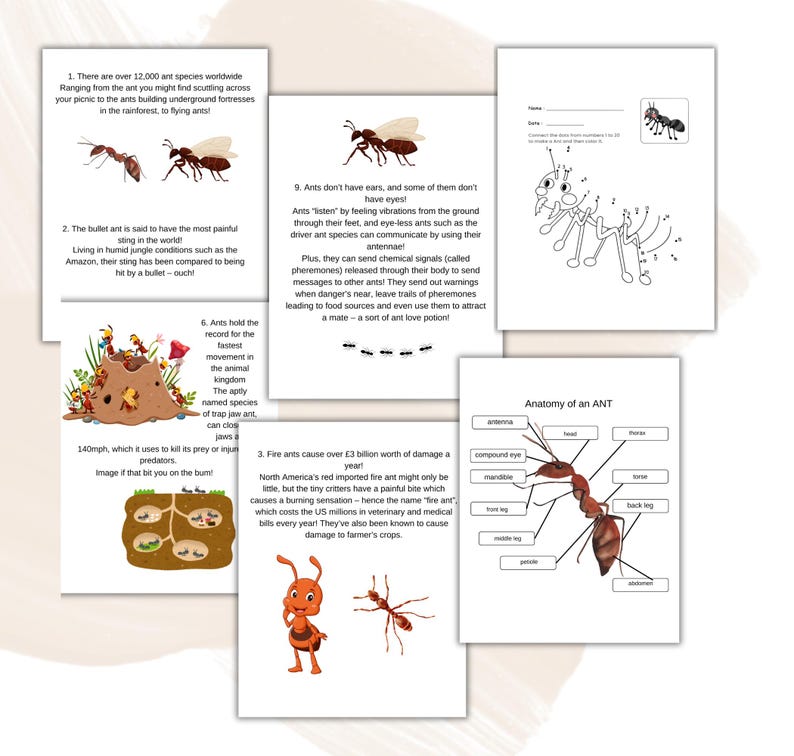 ANT, Unit Study, Life Cycle, Anatomy, Nature Study, Science, Homeschool ...