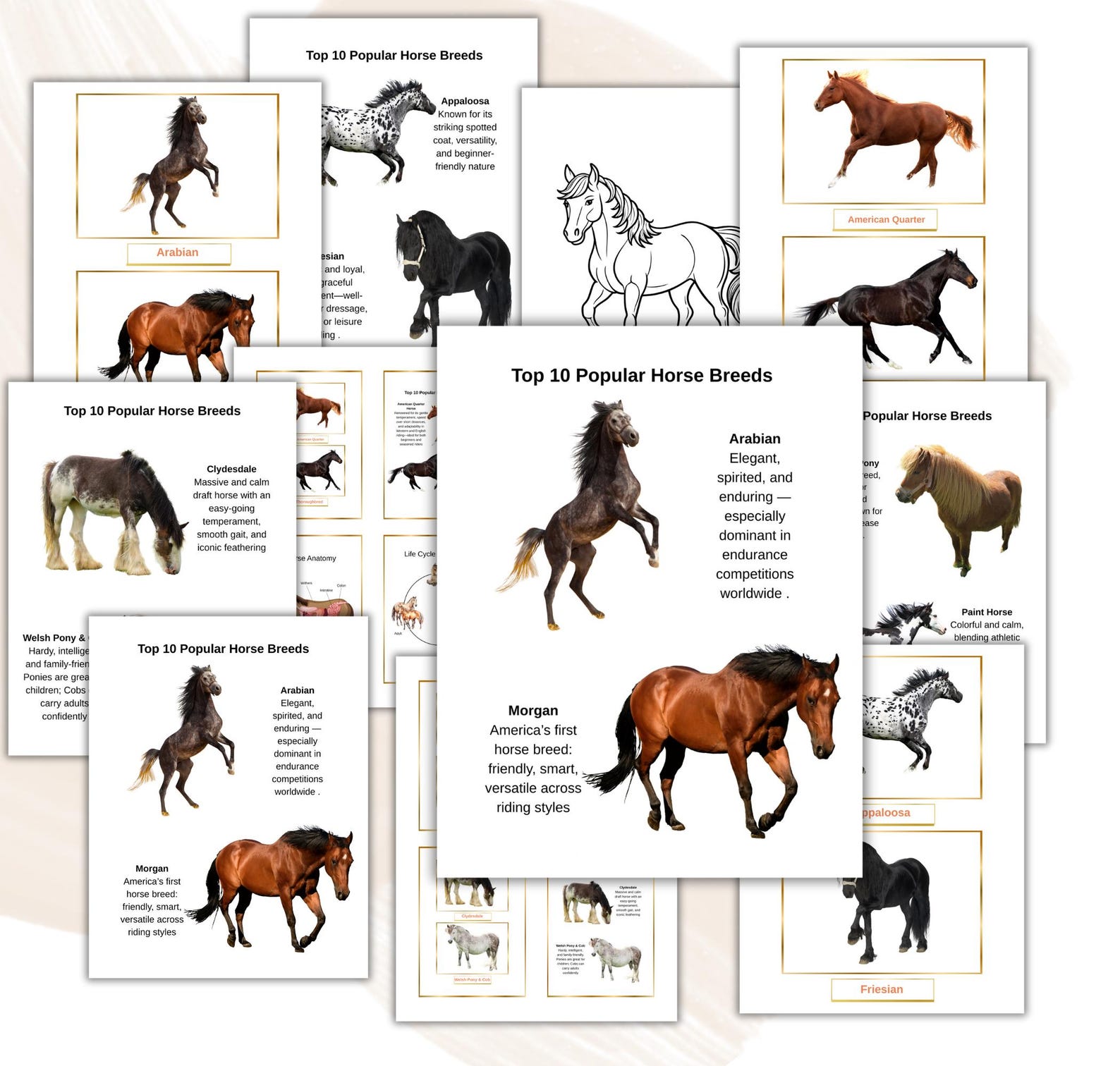 Horses Unit Study: Anatomy, Life Cycle & Breeds (homeschool Printable ...