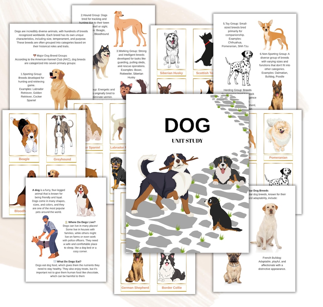 DOG Unit Study: Anatomy, Life Cycle & Activities (homeschool Printable ...