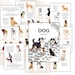 Dogs Unit Study, Dog Anatomy and Dog Breeds Three-part Cards, Math ...