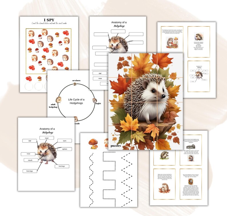 HEDGEHOG Unit Study, Life Cycle, Anatomy, Nature Study, Science ...