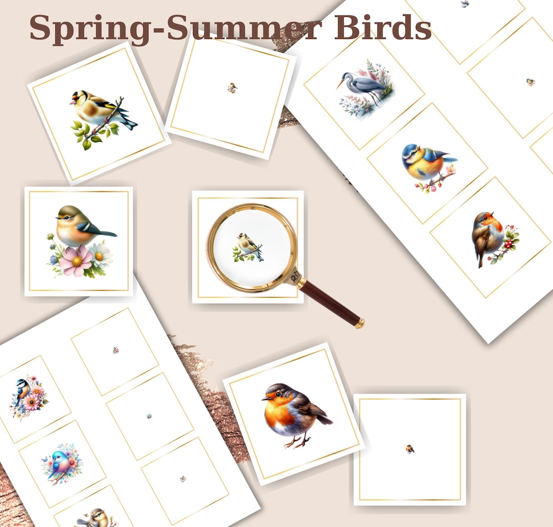 Spring-summer Birds Magnifying Match Activity, Montessori Spring-summer ...