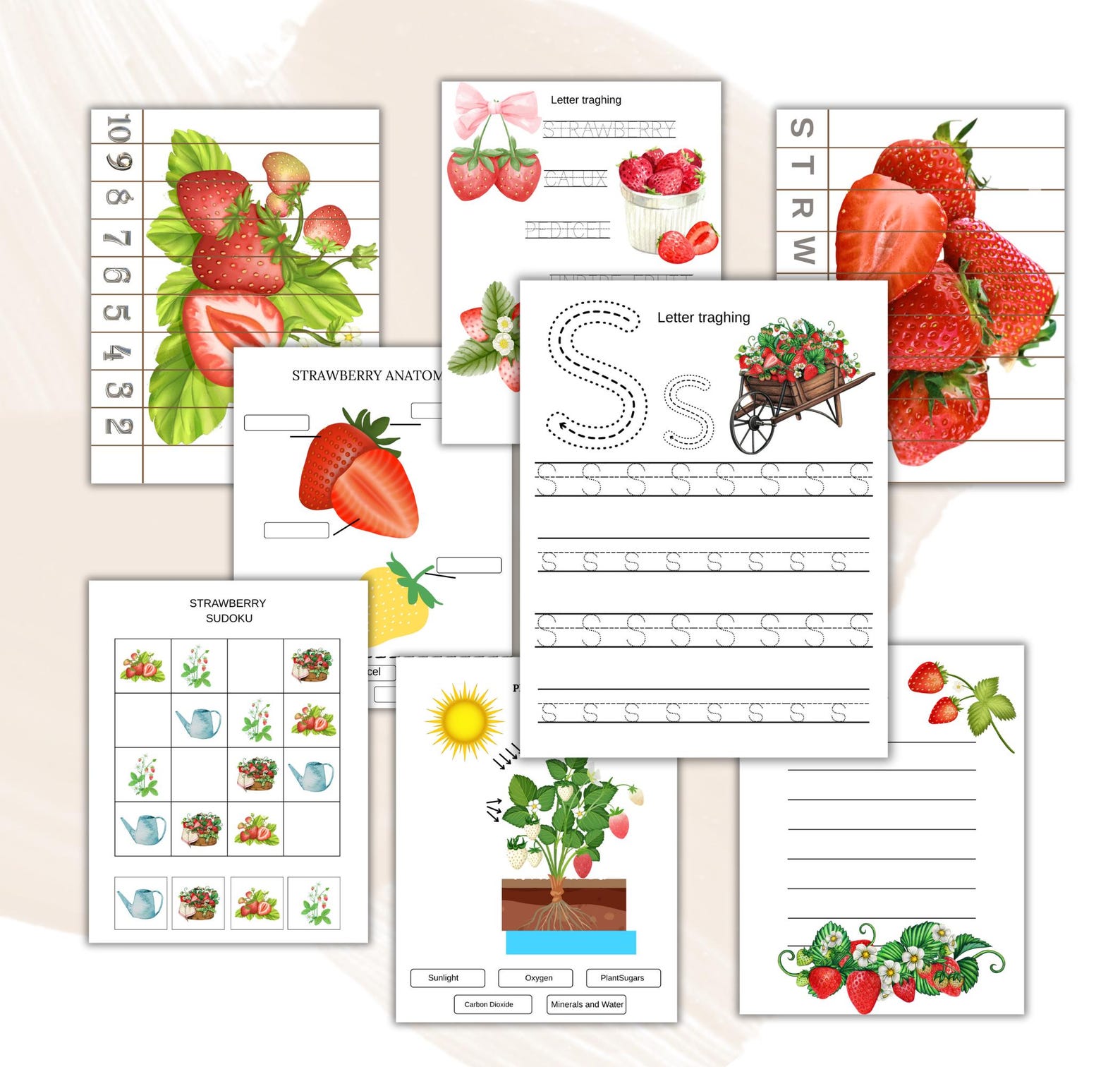 STRAWBERRIES Unit Study, Life Cycle, Science, Handwriting, Homeschool ...