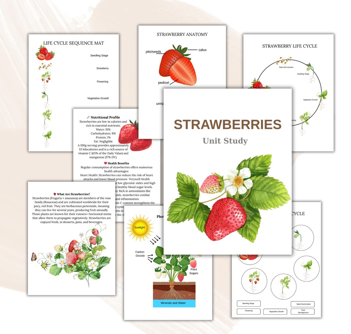 STRAWBERRIES Unit Study, Life Cycle, Science, Handwriting, Homeschool ...