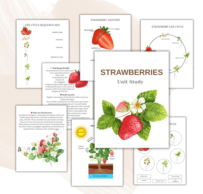 STRAWBERRIES Unit Study, Life Cycle, Science, Handwriting, Homeschool ...