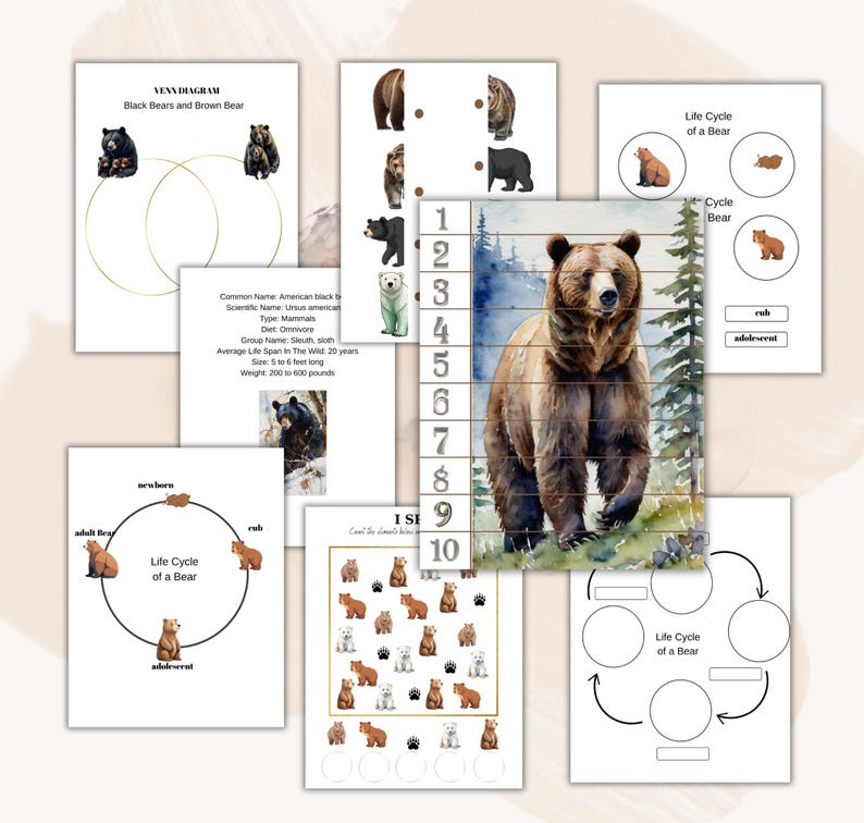 BEARS Unit Study, Life Cycle, Anatomy, Nature Study, Science ...
