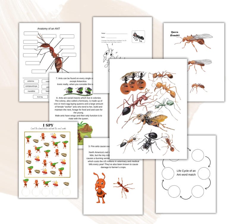 ANT, Unit Study, Life Cycle, Anatomy, Nature Study, Science, Homeschool ...
