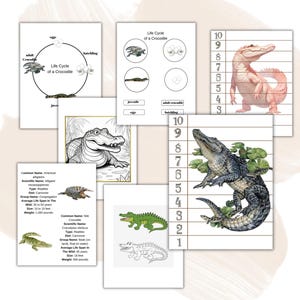 CROCODILE Unit Study, Life Cycle, Anatomy, Nature Study, Science ...