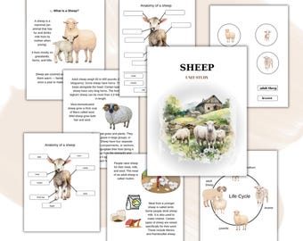 DEER Unit Study, Life Cycle, Anatomy, Nature Study, Science, Homeschool ...