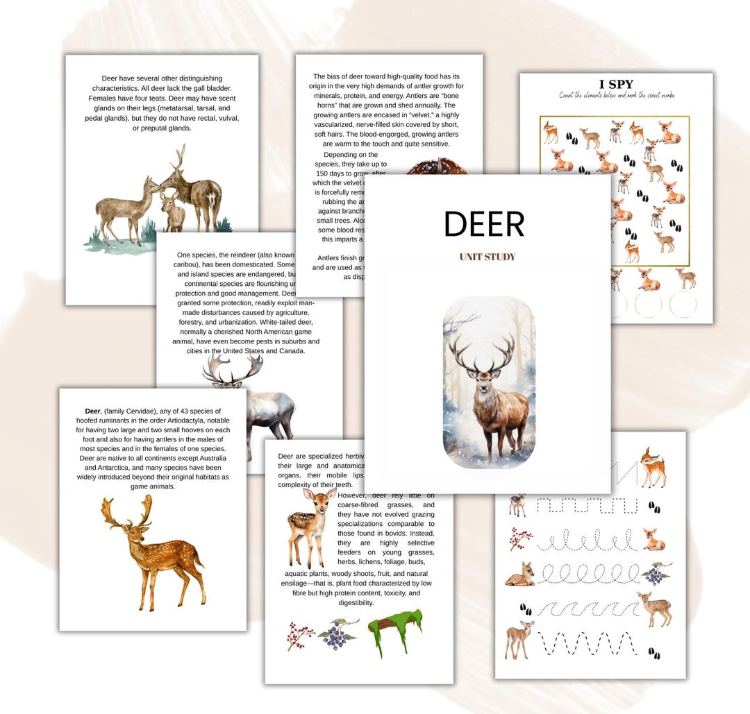 DEER Unit Study, Life Cycle, Anatomy, Nature Study, Science, Homeschool ...