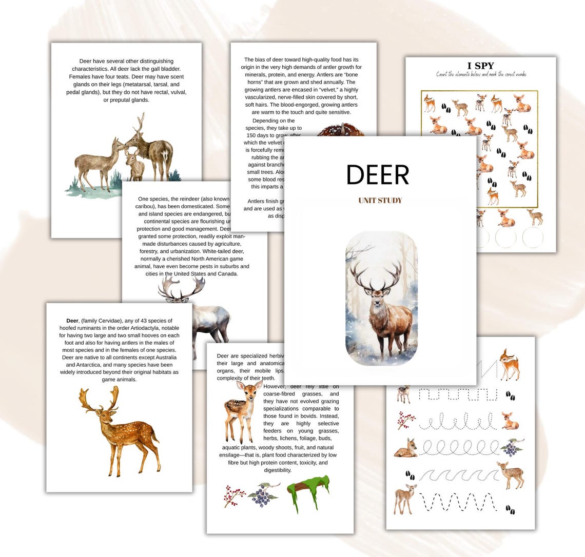 DEER Unit Study, Life Cycle, Anatomy, Nature Study, Science, Homeschool ...