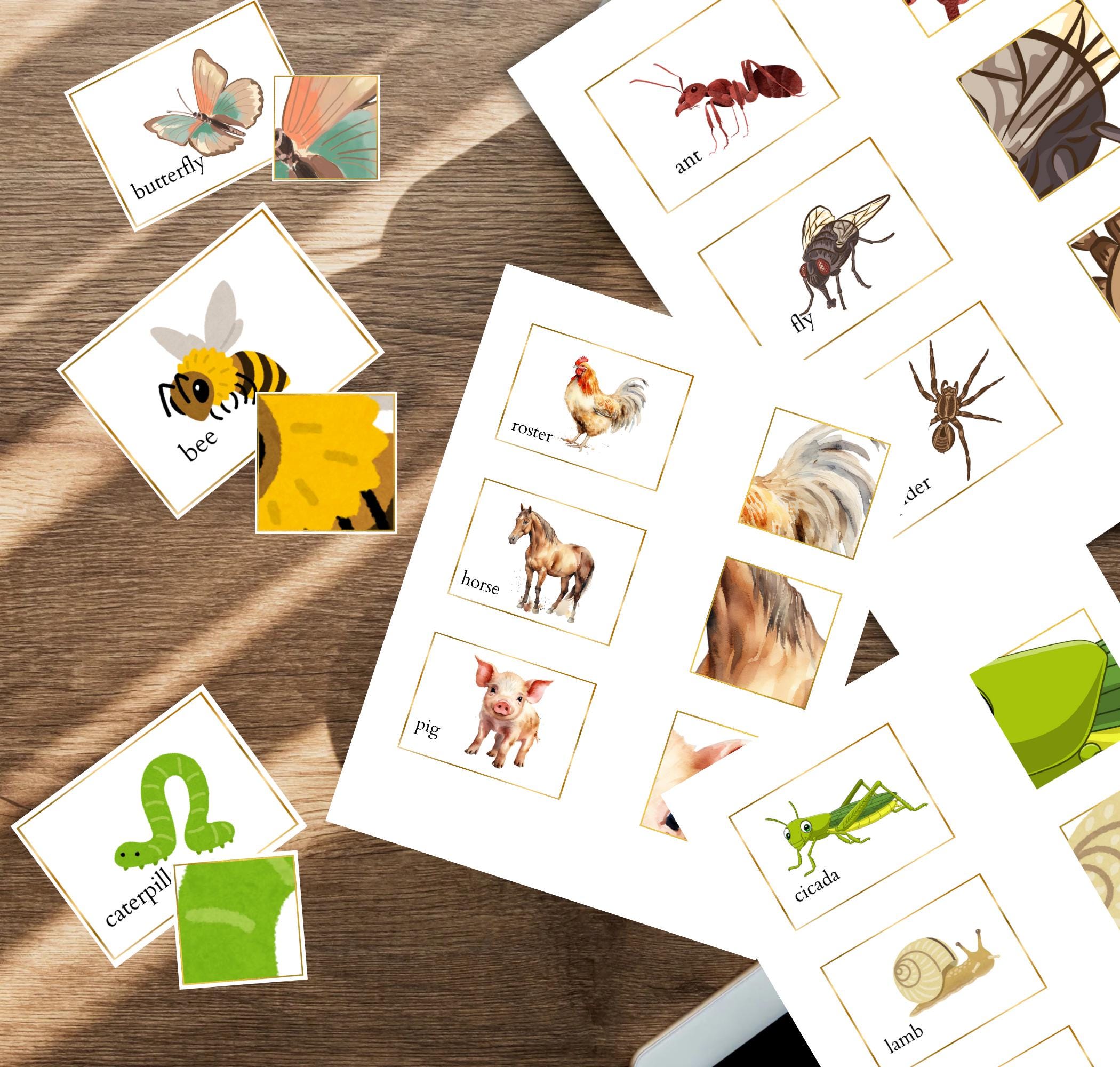 Farm Animals & Insects Matching Cards: Montessori Nature Study (digital ...