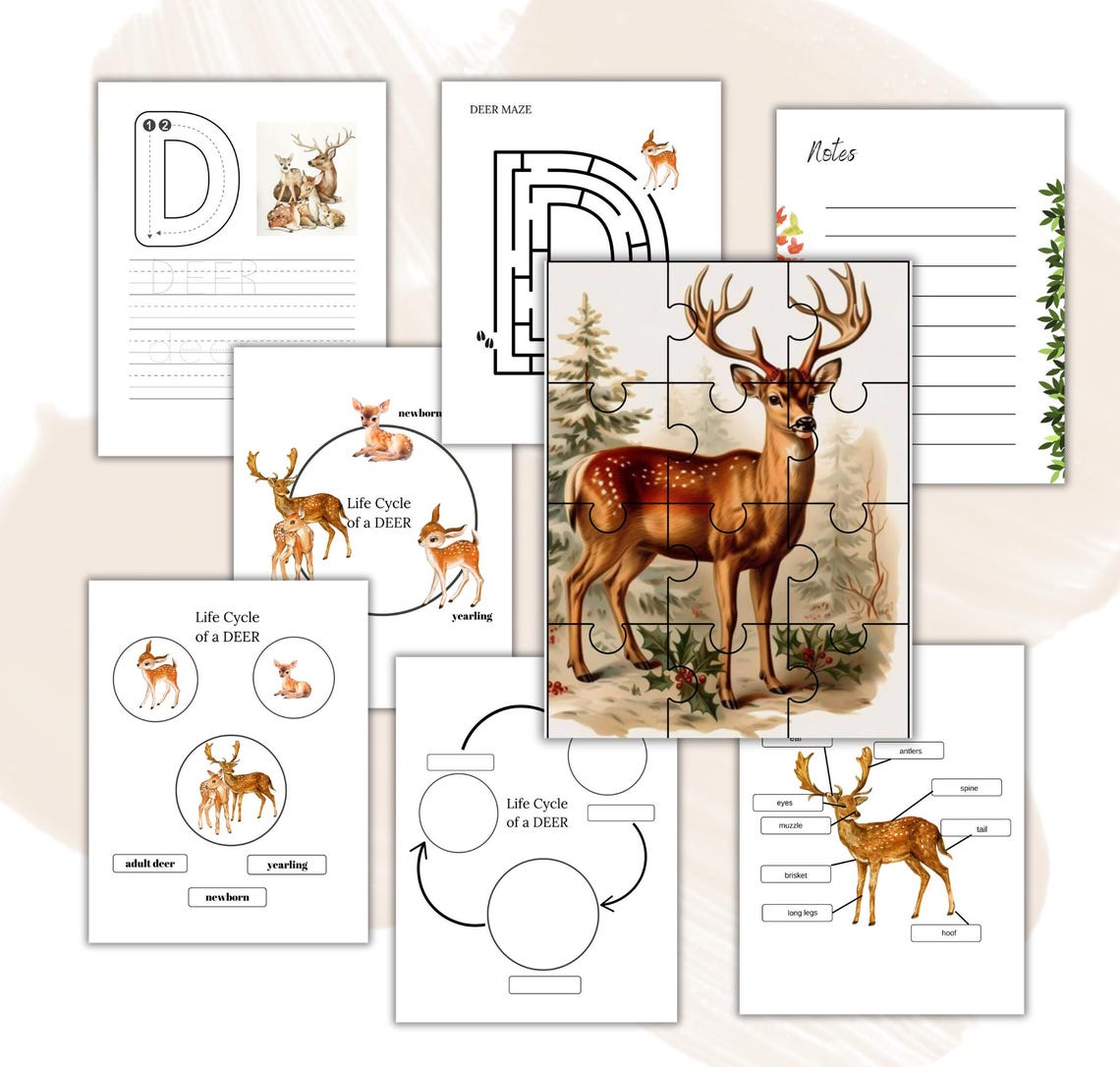DEER Unit Study, Life Cycle, Anatomy, Nature Study, Science, Homeschool ...