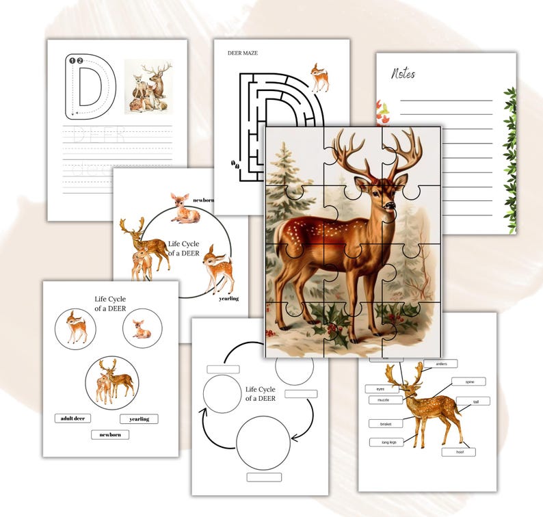 DEER Unit Study, Life Cycle, Anatomy, Nature Study, Science, Homeschool ...