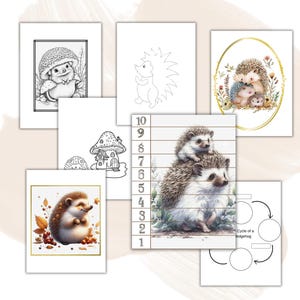 HEDGEHOG Unit Study, Life Cycle, Anatomy, Nature Study, Science ...
