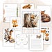 Red Fox Unit Study: Homeschool Science Printable (instant Download) - Etsy