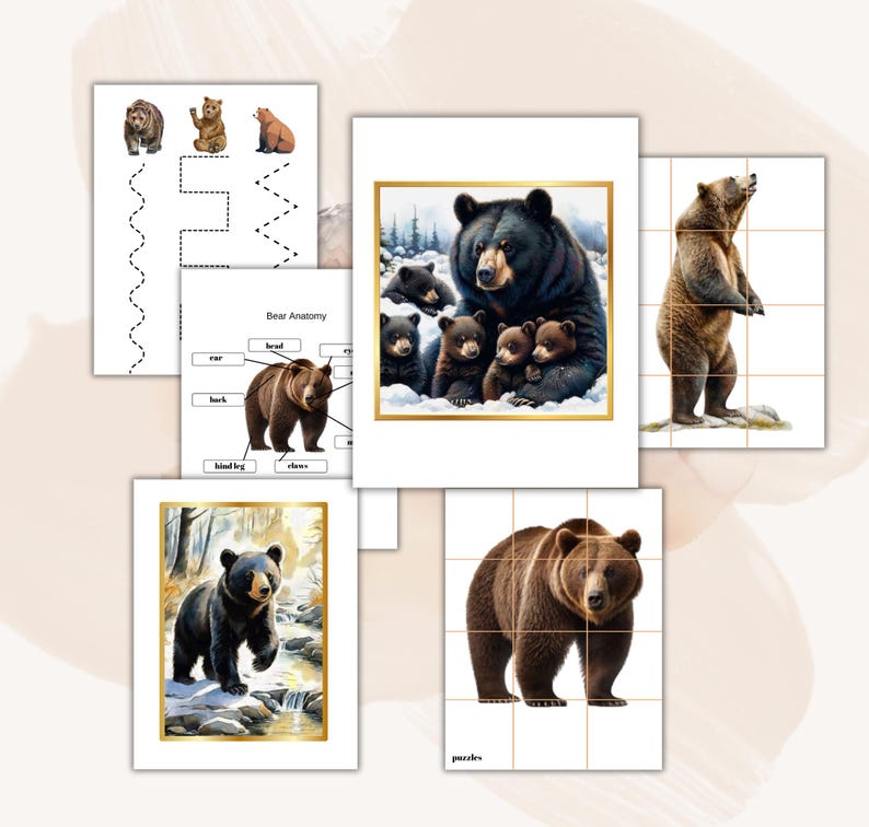 BEARS Unit Study, Life Cycle, Anatomy, Nature Study, Science ...