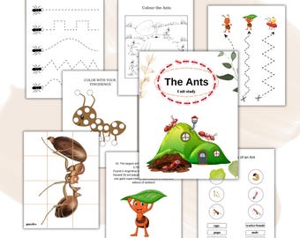 Horse Life Cycle Nature Study - Etsy