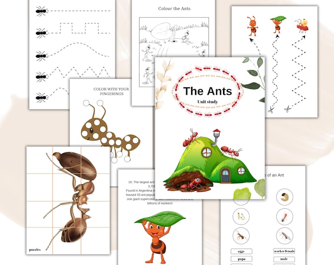 Black Garden Ant Anatomy Life Cycle - Etsy Canada