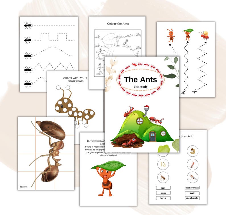 ANT, Unit Study, Life Cycle, Anatomy, Nature Study, Science, Homeschool ...