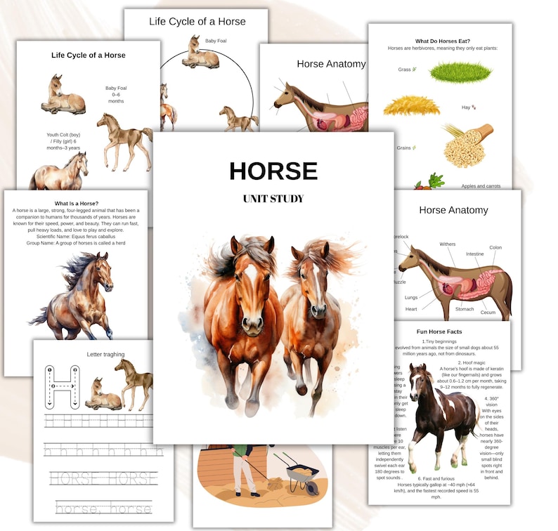 Horses Unit Study: Anatomy, Life Cycle & Breeds (homeschool Printable ...