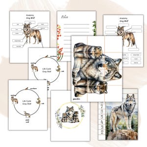 Wolf Unit Study: Life Cycle, Anatomy, Homeschool Printable (instant ...