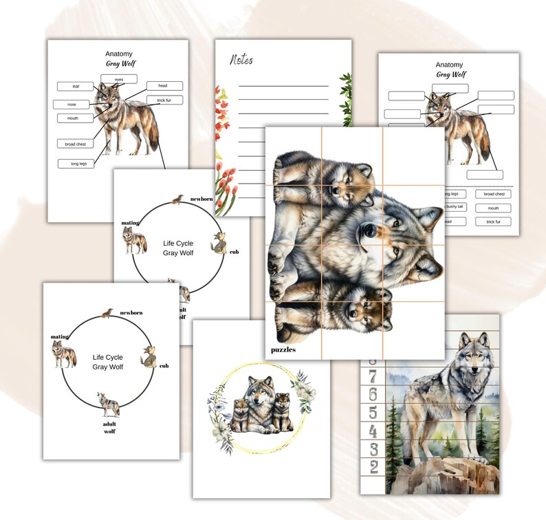 1 WOLF , Unit Study, Life Cycle, Anatomy, Nature Study, Science ...