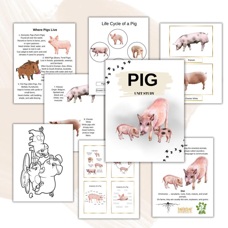 Pig Science - Etsy UK
