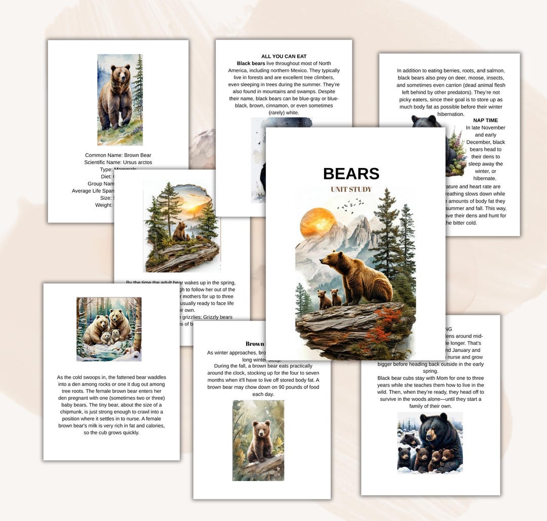BEARS Unit Study, Life Cycle, Anatomy, Nature Study, Science ...