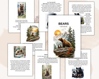 Horse Life Cycle Nature Study - Etsy