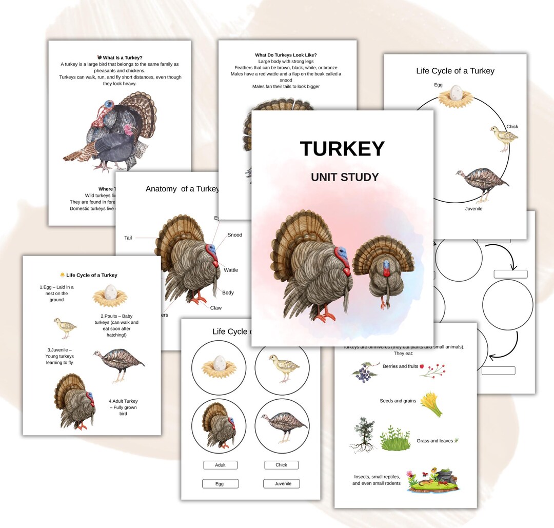 TURKEY, Life Cycle, Nature Study ,science, Homeschool Printable ...