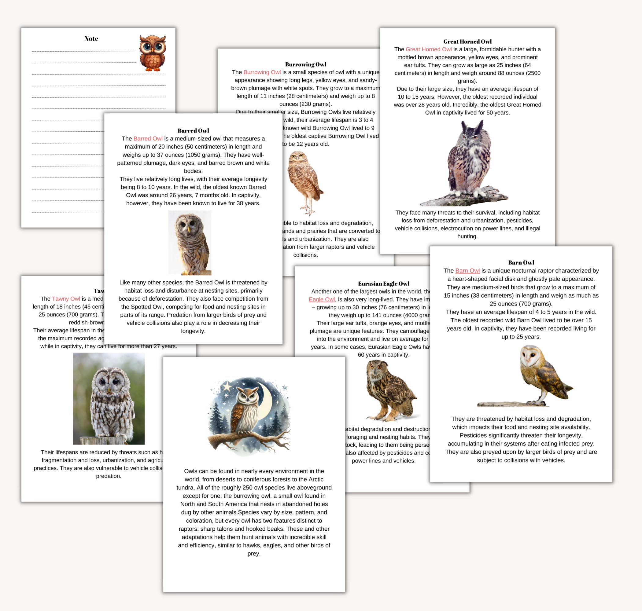 OWLS Unit Study, Life Cycle, Anatomy, Nature Study, Science, Homeschool ...