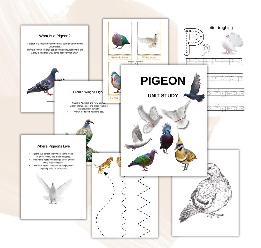 Pigeon Unit Study , Life Cycle, Anatomy, Science, Homeschool Printable ...