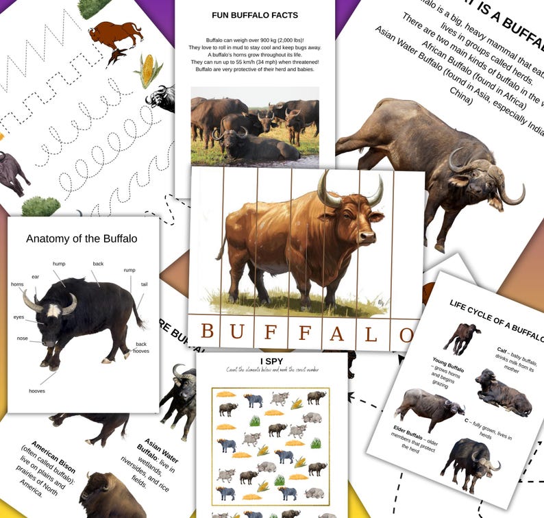Buffalo, Anatomy , Homeschool Unit Study - Printable K-2 (digital ...
