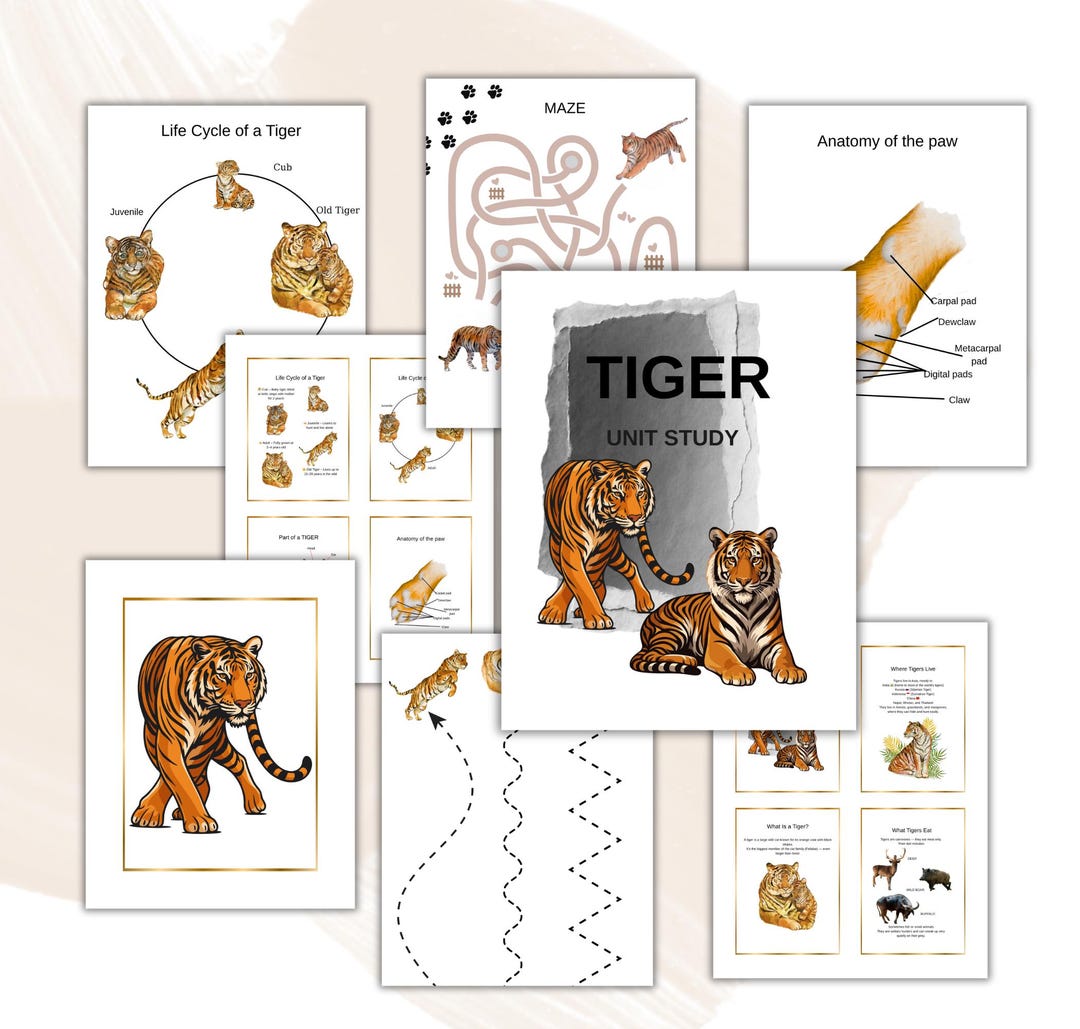 TIGER, Life Cycle, Nature Study ,science, Homeschool Printable ...