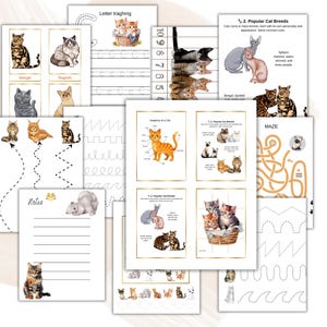 CAT Unit Study: Anatomy, Life Cycle, Homeschool Printable (digital ...