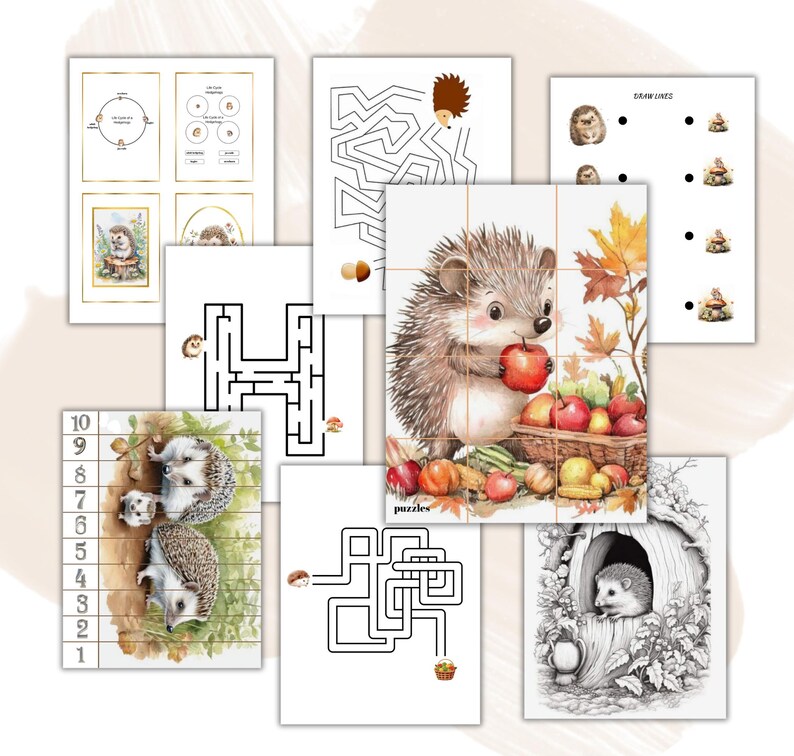 HEDGEHOG Unit Study, Life Cycle, Anatomy, Nature Study, Science ...