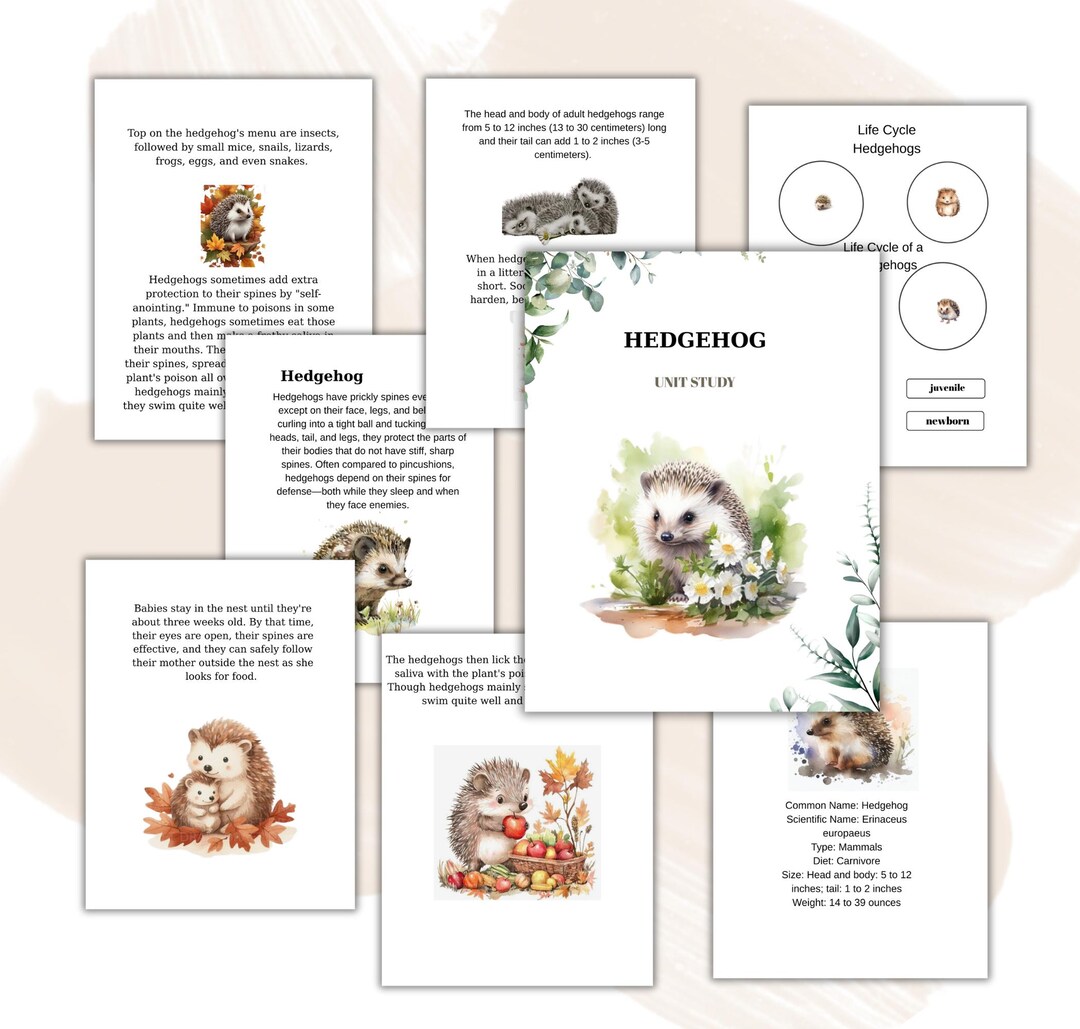 HEDGEHOG Unit Study, Life Cycle, Anatomy, Nature Study, Science ...