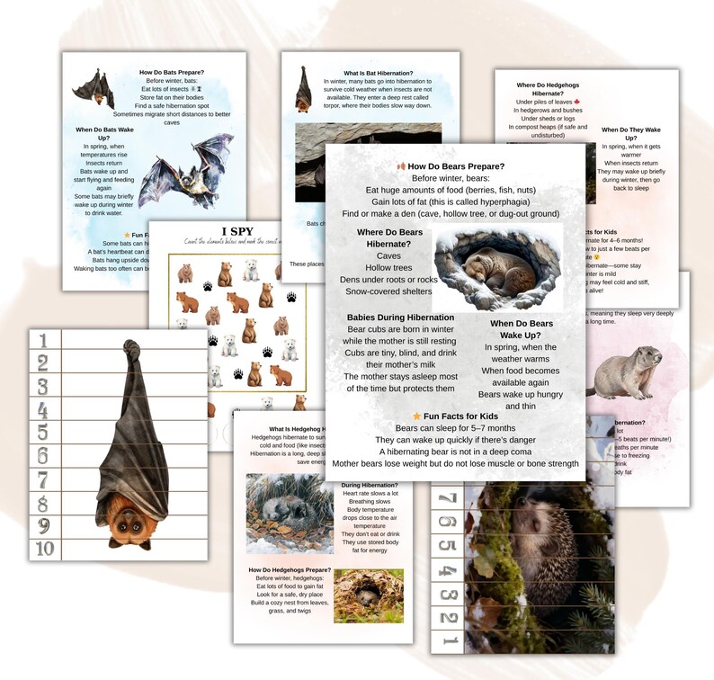 Winter Animals Hibernation Unit Study, Homeschool Printable (instant ...