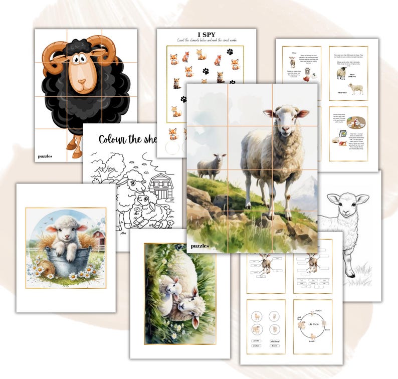 Sheep Unit Study, Life Cycle, Anatomy, Nature Study, Science ...