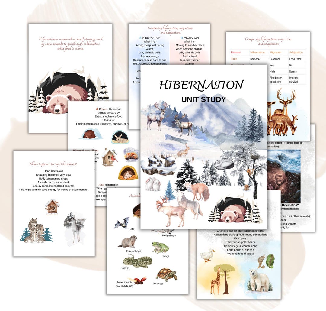 Winter Animals Hibernation Unit Study, Homeschool Printable (instant ...