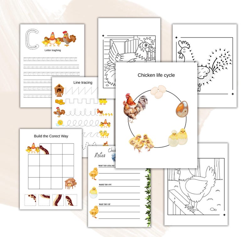 Chicken Unit Study , Life Cycle, Anatomy, Science, Homeschool Printable ...