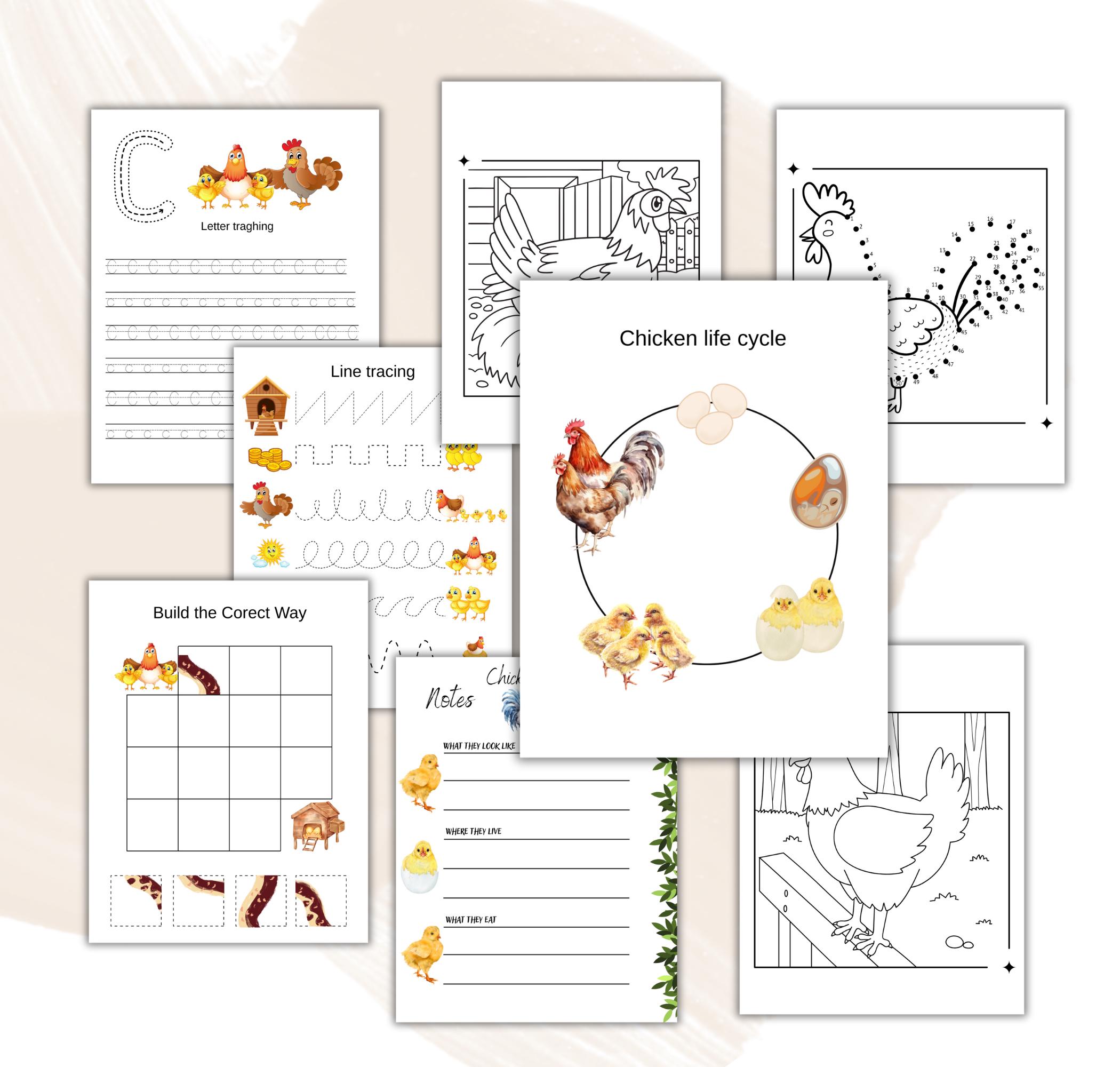 Chicken Unit Study , Life Cycle, Anatomy, Science, Homeschool Printable ...