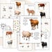 Cows Unit Study: Cattle Life Cycle, Anatomy, Homeschool Printable ...