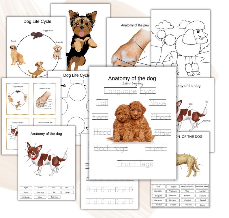 DOG Unit Study, Life Cycle, Anatomy, Nature Study, Science, Handwriting ...