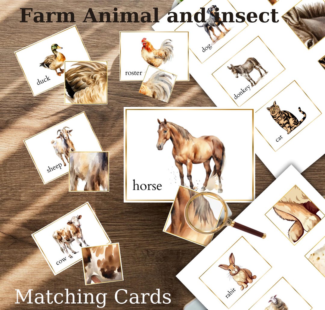 Farm Animals & Insects Matching Cards: Montessori Nature Study (digital ...