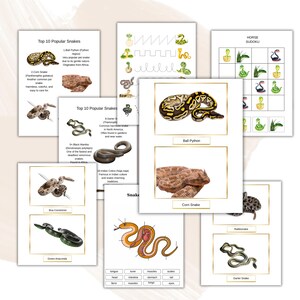 SNAKE Unit Study, Nature Study, Science, Homeschool, Montessori, Life ...