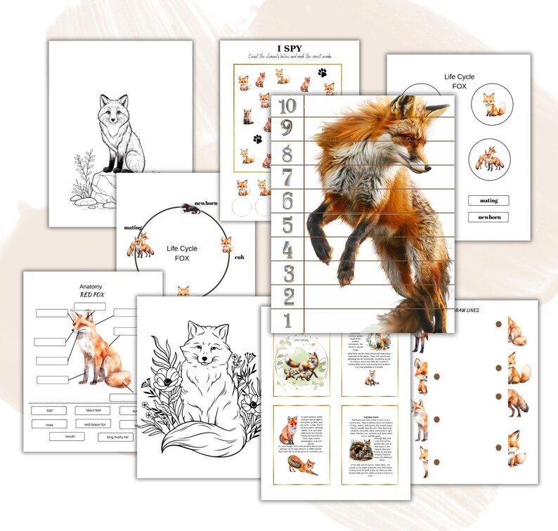 1RED FOX, Unit Study, Life Cycle, Anatomy, Nature Study, Science ...
