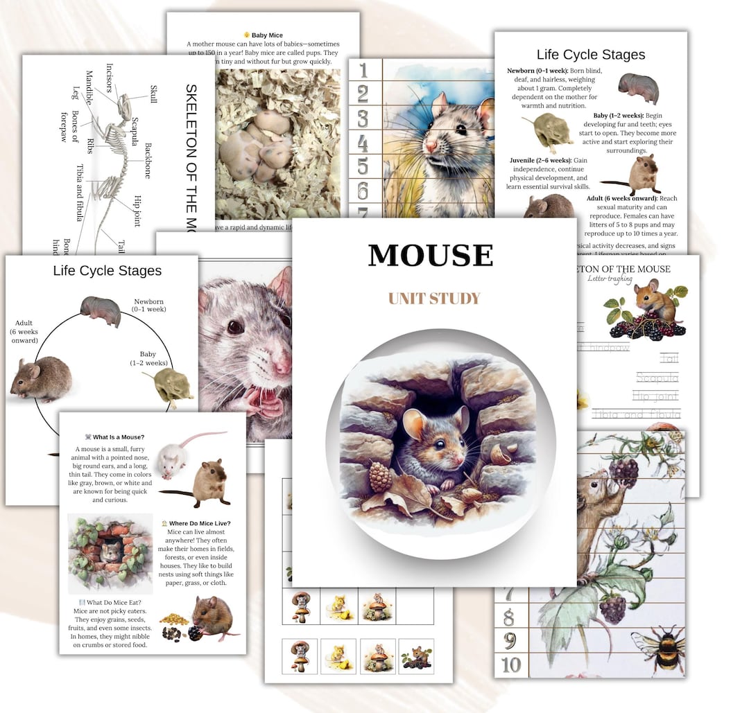 Mice Unit Study, Life Cycle, Anatomy, Nature Study, Science, Homeschool ...