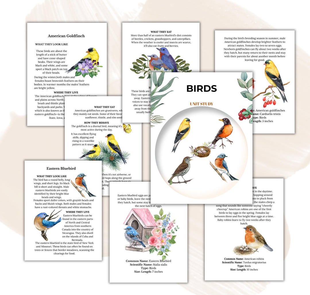 BIRD Unit Study, Life Cycle, Anatomy, Nature Study, Science ...